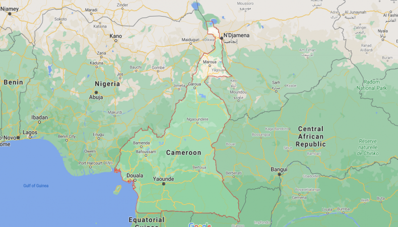 New Age | 53 killed in Cameroon bus fire