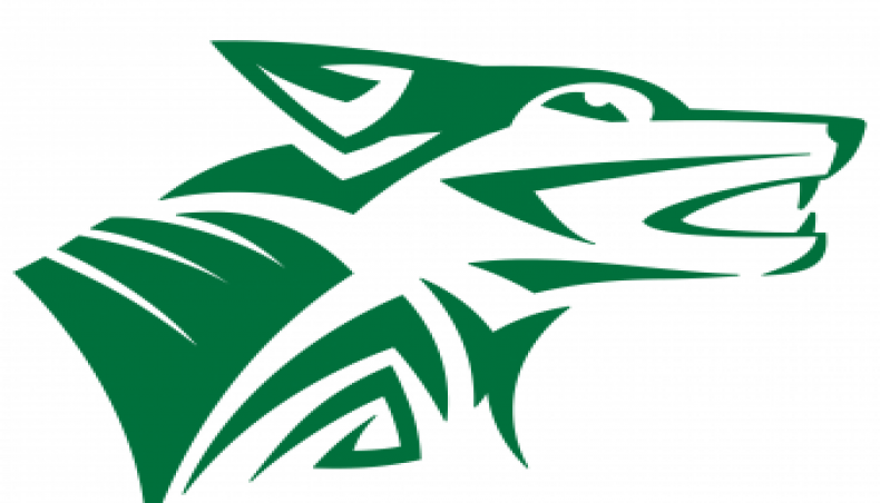 New Age | Ireland Wolves to arrive on February 18