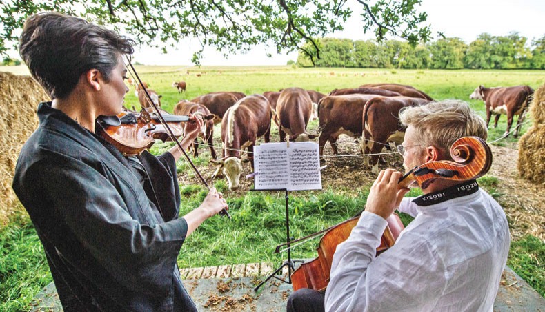 New Age | In Denmark, grazing is alive with sound of music
