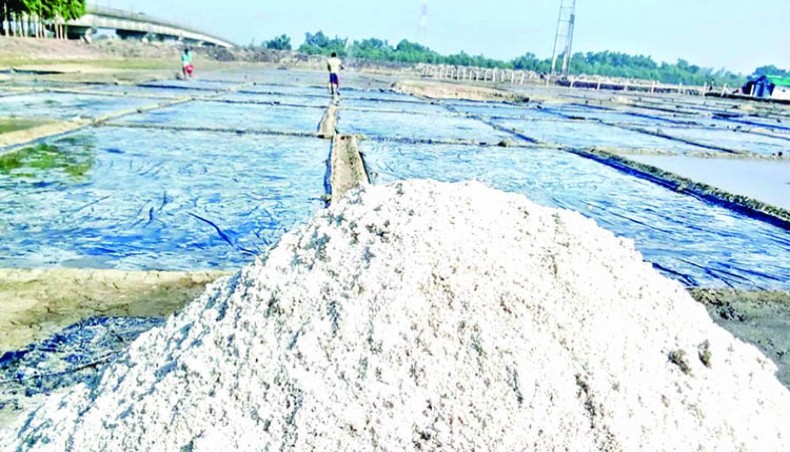 New Age | Salt policy sets 30.48 lakh tonnes demand in FY26