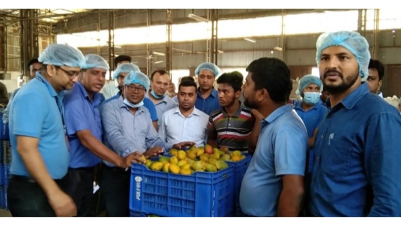 New Age | Pran starts mango collection