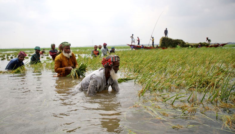 New Age | Flood-hit farmers see grim days ahead