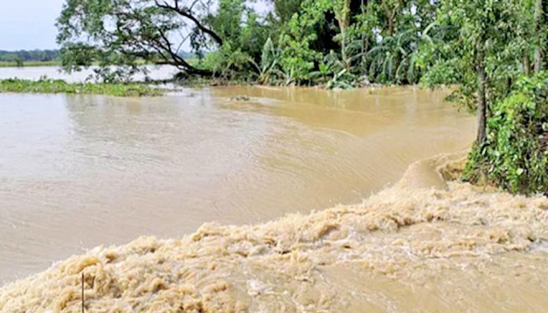 New Age | Sylhet farmers lose crops worth over Tk 11.13b in floods