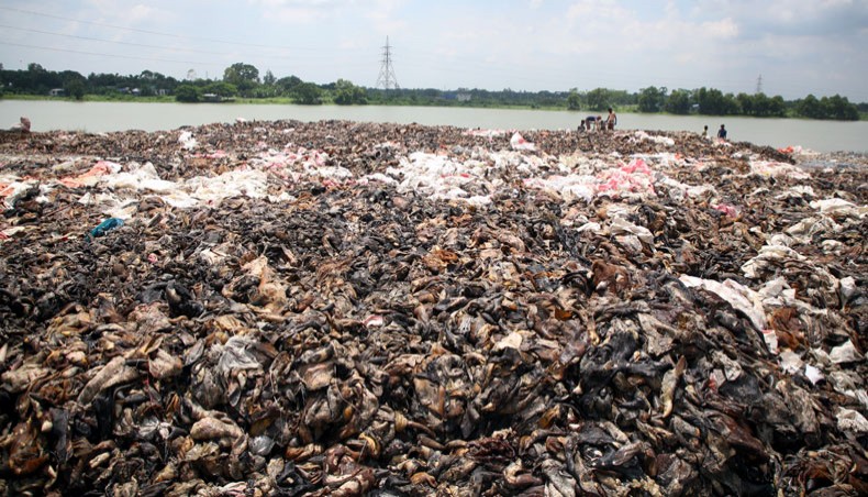 New Age | Pollution from tanneries in Savar on rise