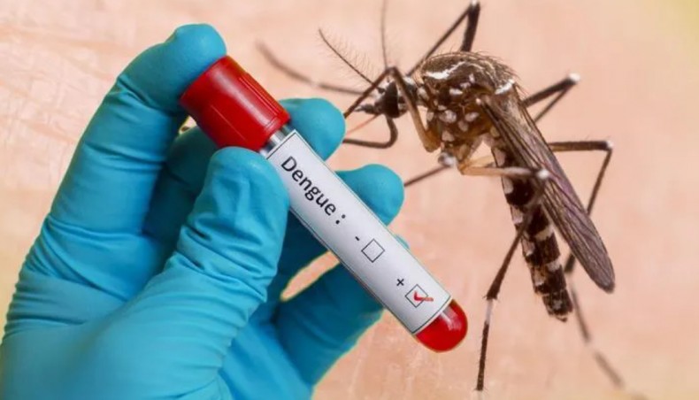 Daily dengue hospitalisation keeps making records
