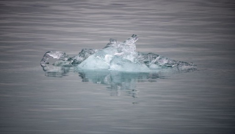 New Age | Half of Earth’s glaciers expected to vanish by 2100, says study