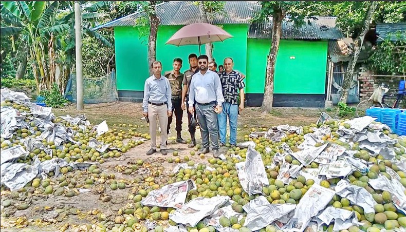 New Age | 23 tonnes of mangoes ripened with toxic chemicals destroyed