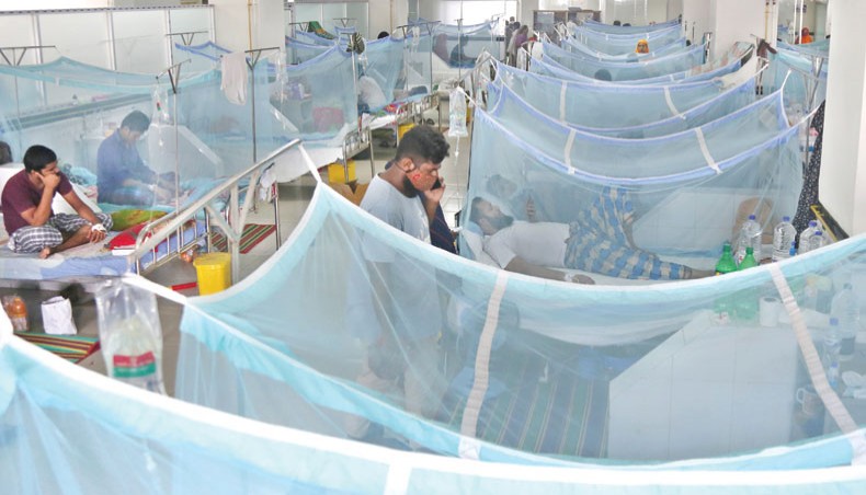Dengue Fever Victims