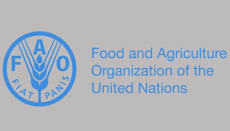 New Age | Bangladesh-Bangabandhu Sheikh Mujib Room inaugurated at FAO ...