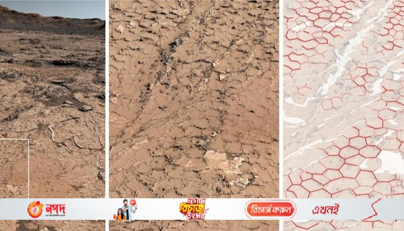 Mars once had wet-dry climate conducive to supporting life: study