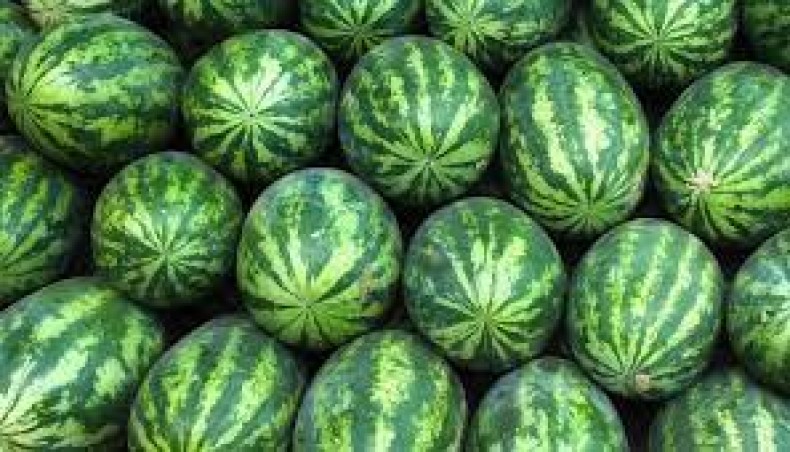 New Age | Off-season watermelons making Narail farmers smile