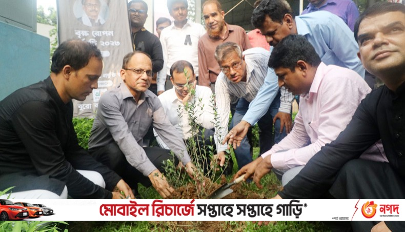 Saplings planted at NMST