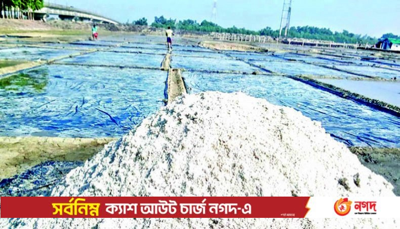 264 cos recommended for importing salt