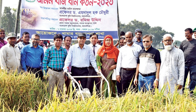 New Age | BAU holds Aman seed paddy harvest ceremony