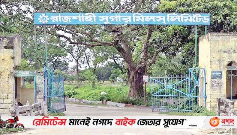 Sugarcane crushing in Rajshahi, Natore sugar mills begins