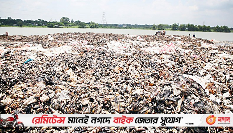 Untapped potential of solid waste