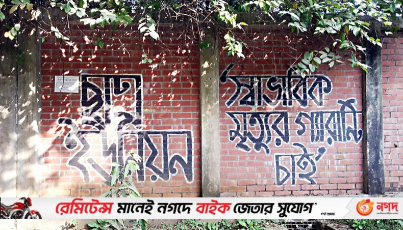 Abnormal life, unnatural death