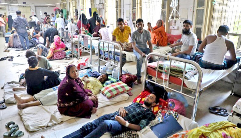 New Age | IVM in combating Aedes mosquitoes